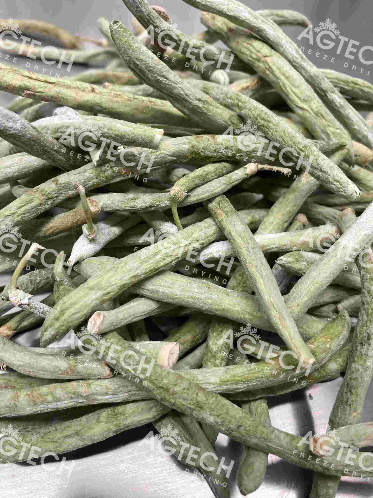 AGTECH Freeze Drying | Fast Shipping. Flexible Options